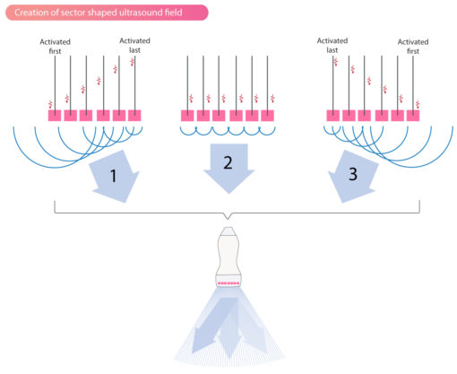 Two-dimensional (2D) echocardiography – The Cardiovascular