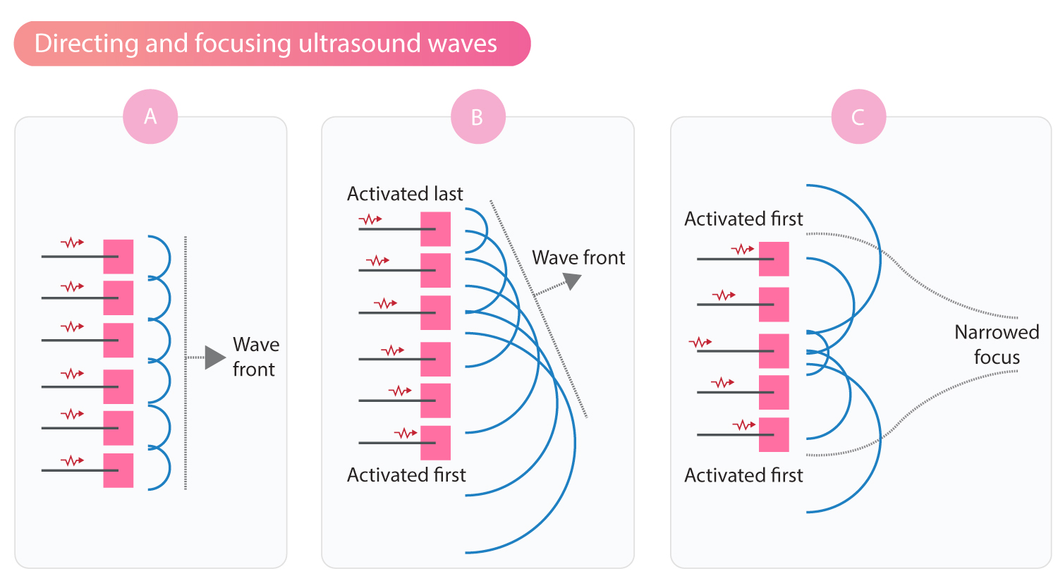 Optimization of the ultrasound image – The Cardiovascular