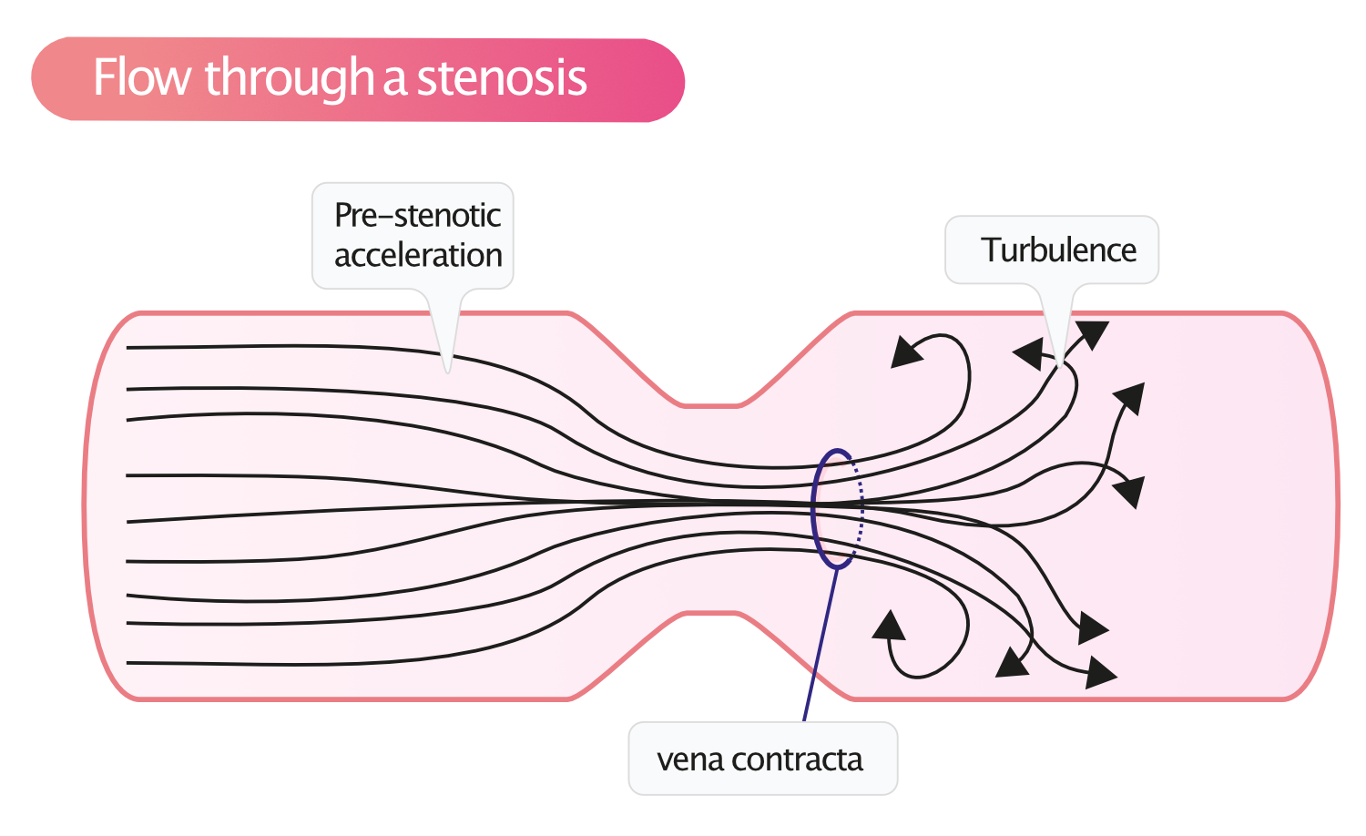 Hemodynamic principles and calculations – ECG & ECHO