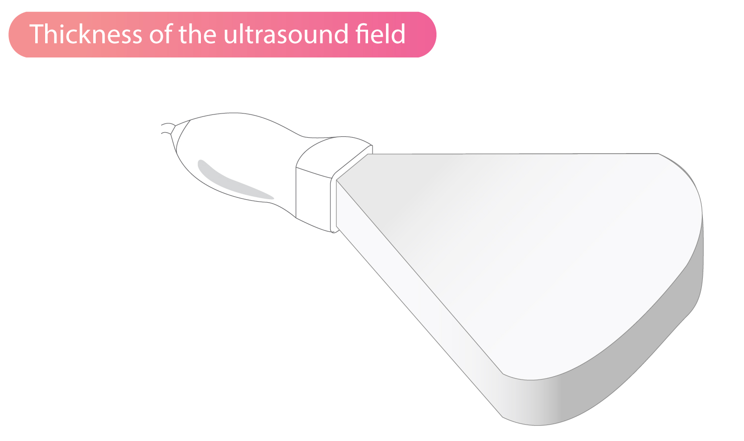 Two-dimensional (2D) echocardiography – The Cardiovascular