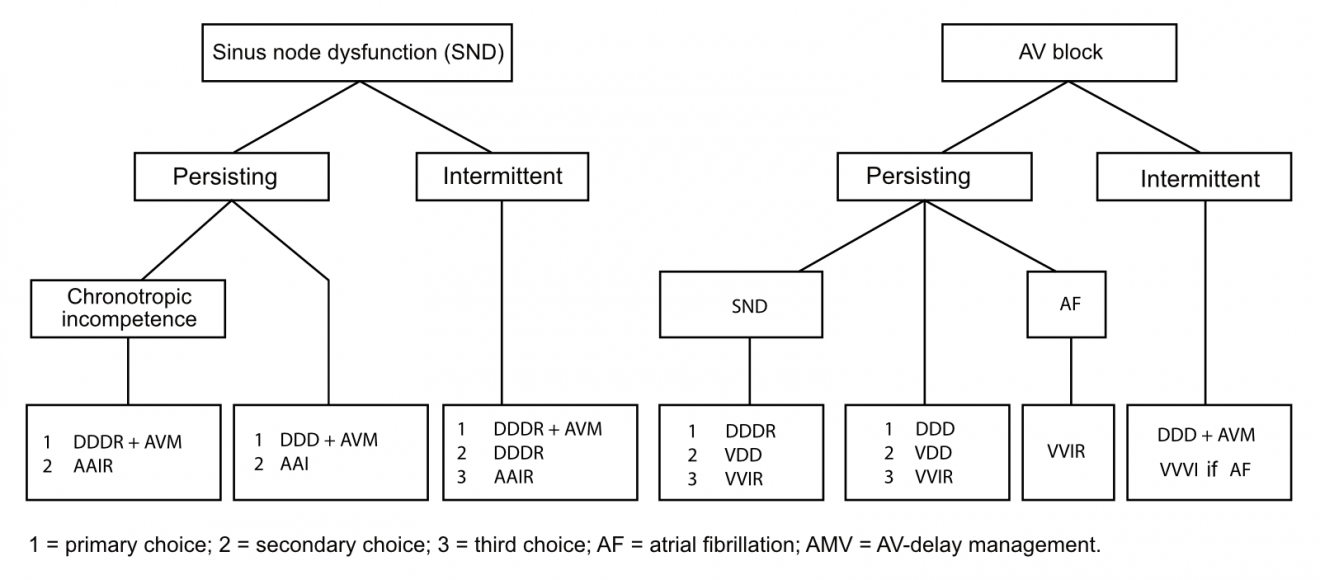 Basic cardiac pacing, pacemaker functions and settings – Cardiovascular ...