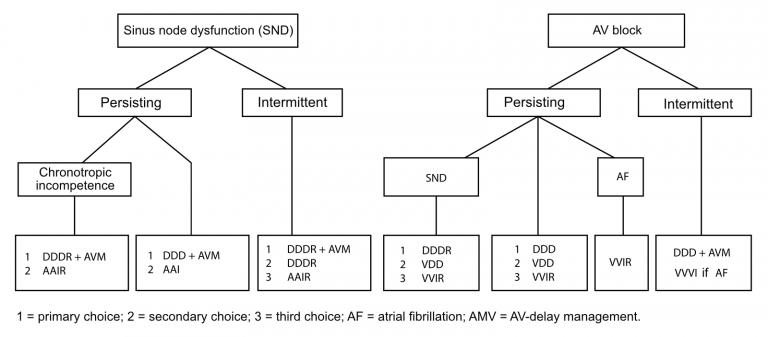 Basic Cardiac Pacing Pacemaker Functions And Settings Cardiovascular