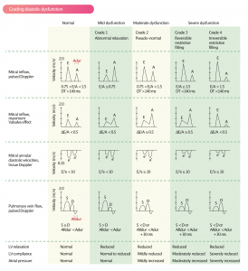 Assessment of diastolic function by echocardiography – The Cardiovascular