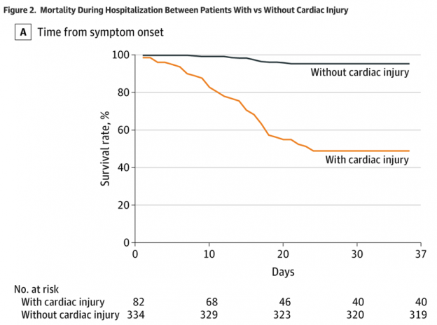 Cardiovascular effects of COVID-19 (Coronavirus Disease 2019)