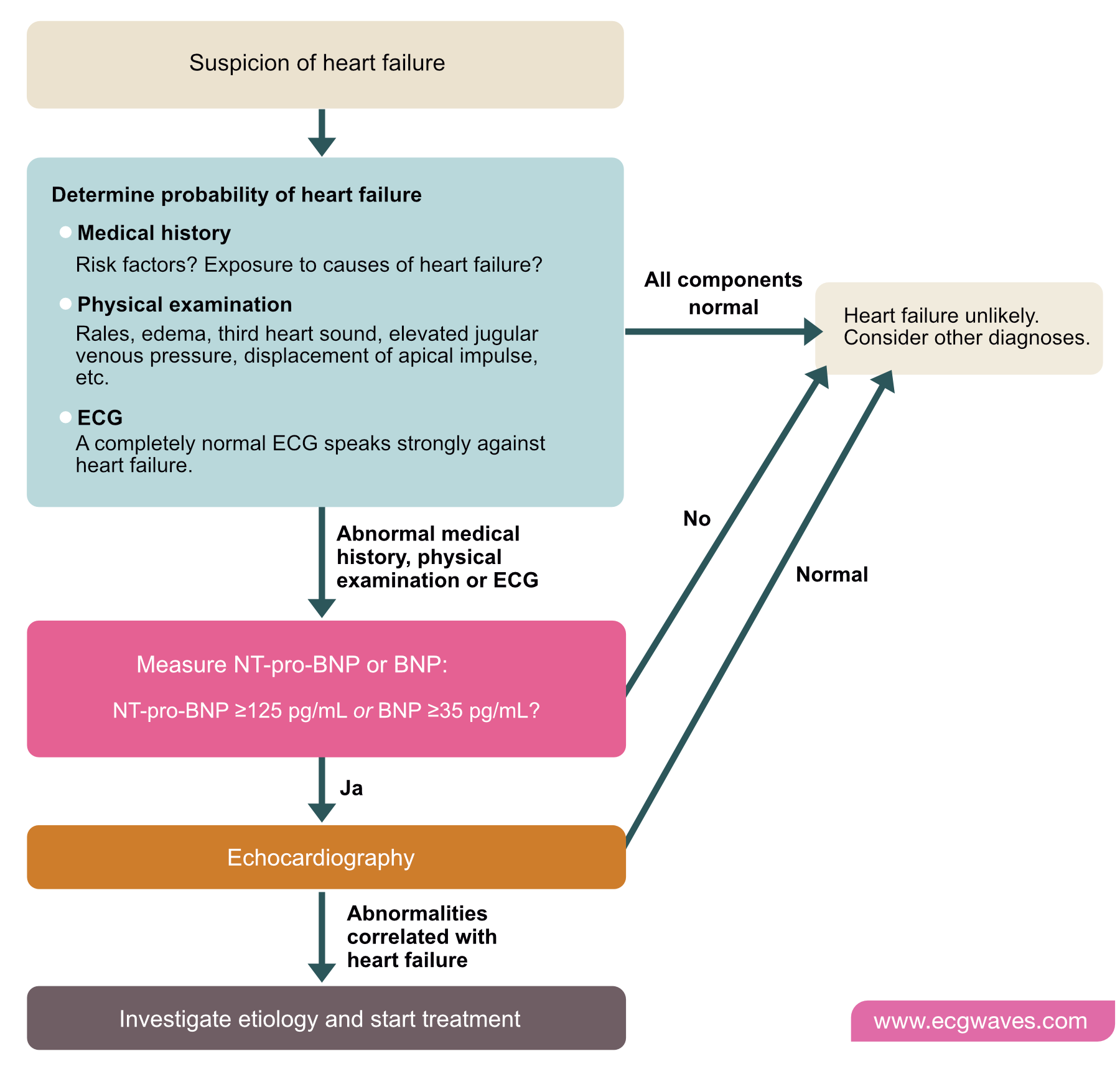 Heart Failure ECG ECHO