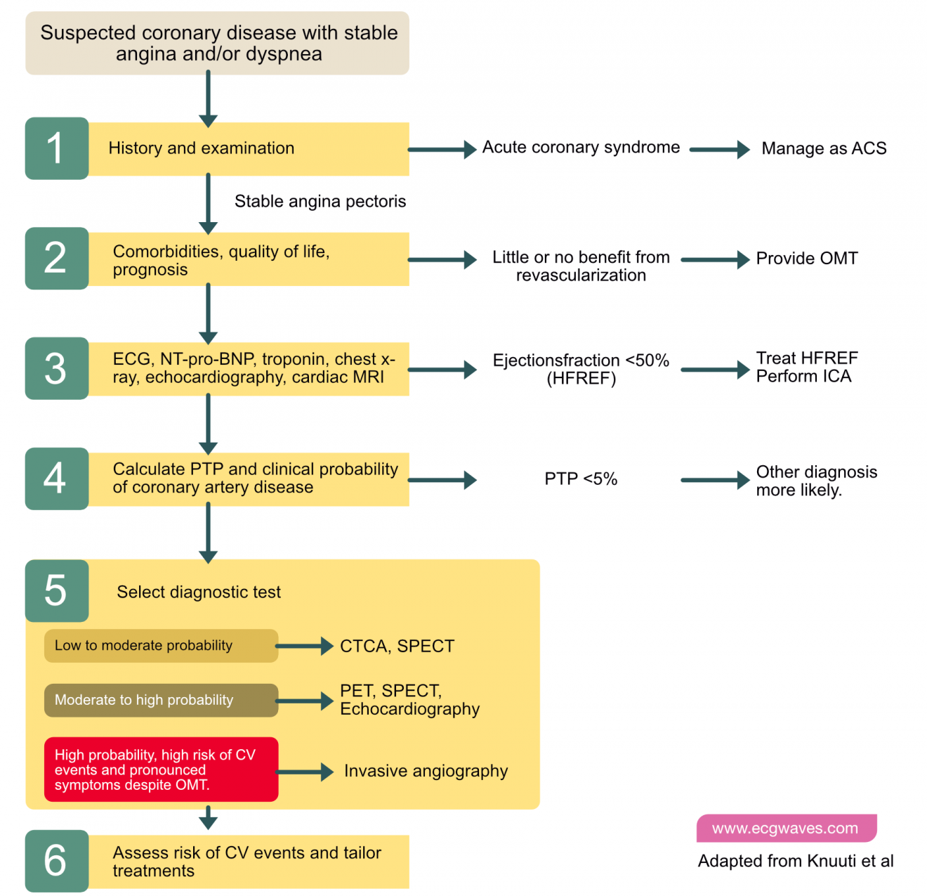 Coronary Artery Disease – Cardiovascular Education