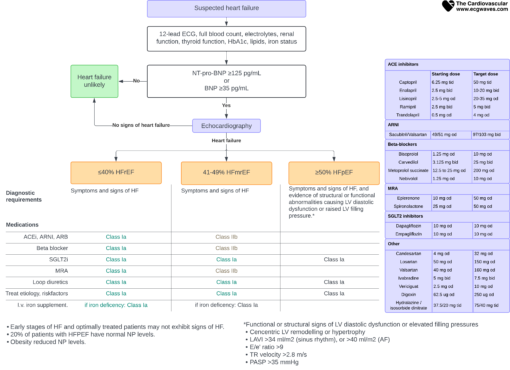Heart failure: Causes, types, diagnosis, treatments & management – The ...