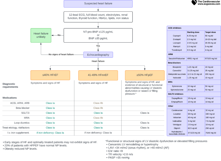 Diagnosis and initial management of heart failure (HFrEF, HFmrEF, HFpEF ...