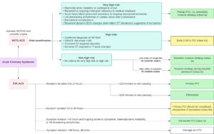 Reperfusion therapy (primary PCI, fibrinolysis) in patients with acute ...