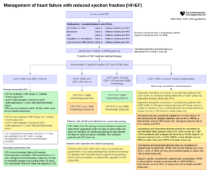 Management of heart failure with reduced ejection fraction (HFrEF ...