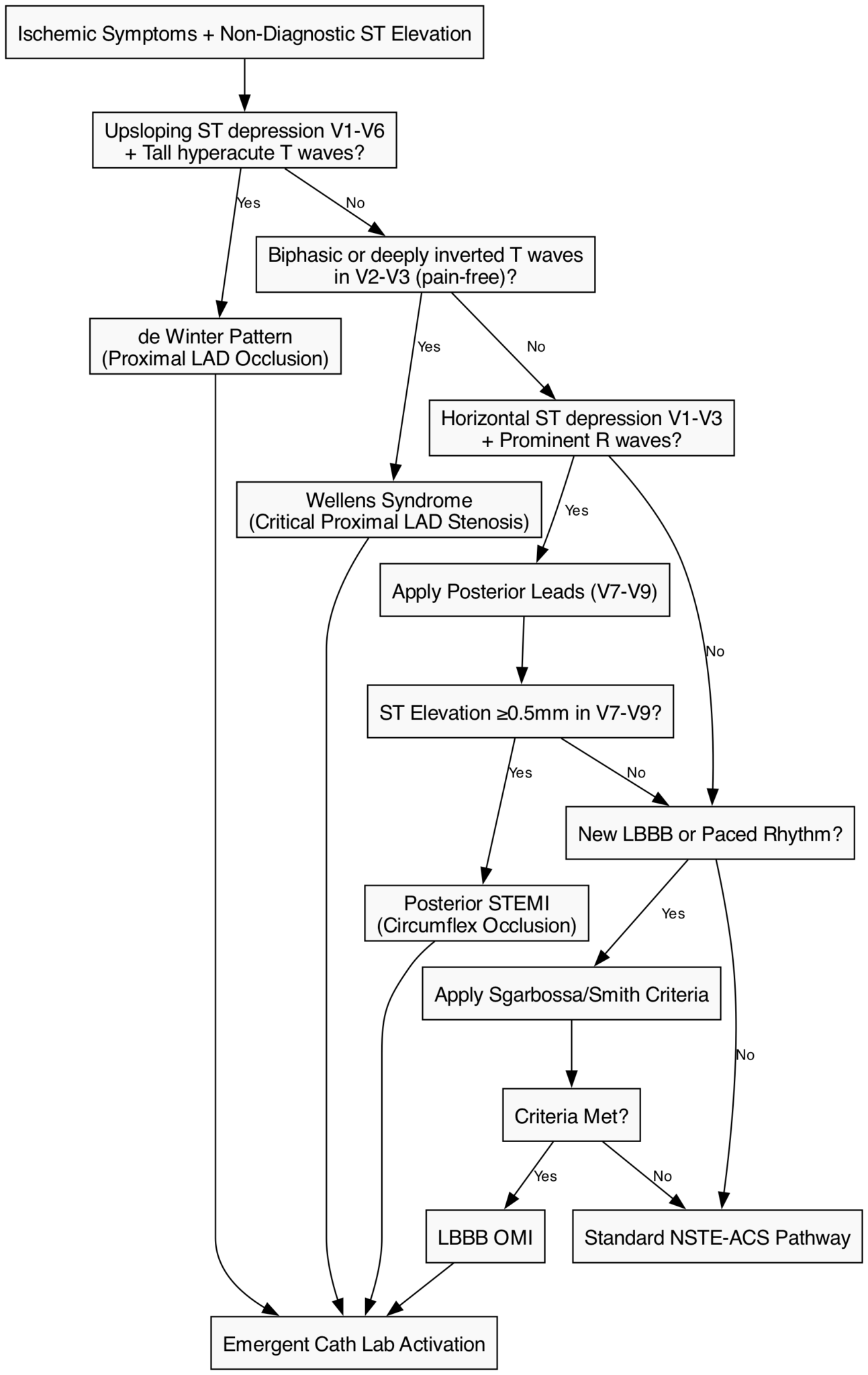 ST-Elevation Myocardial Infarction (STEMI): Pathophysiology, Diagnosis ...